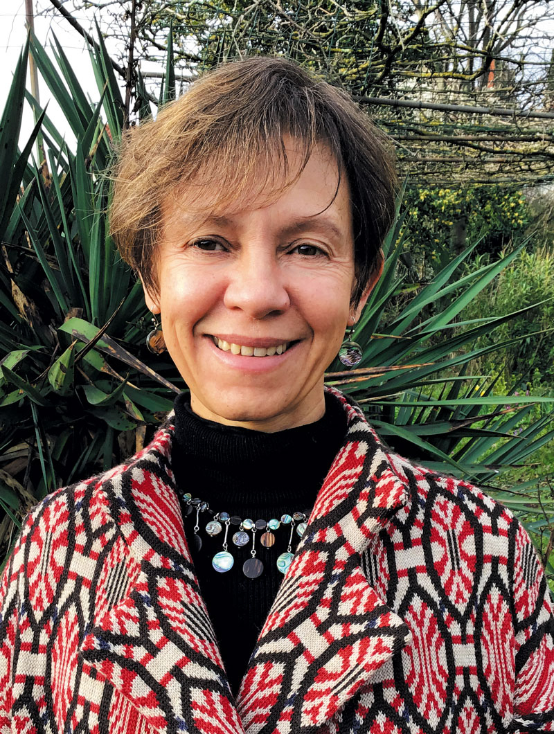 Andréa Tommasi | INSU